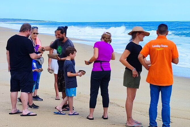 Private tour to release turtles with tickets included - Detailed Breakdown of the Itinerary