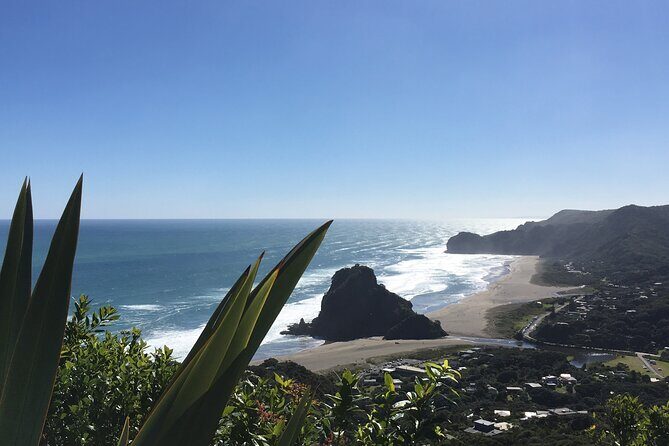 Private Tour to Rotoruas Natural wonders and Mori Arts & craft. - Analyzing the Value