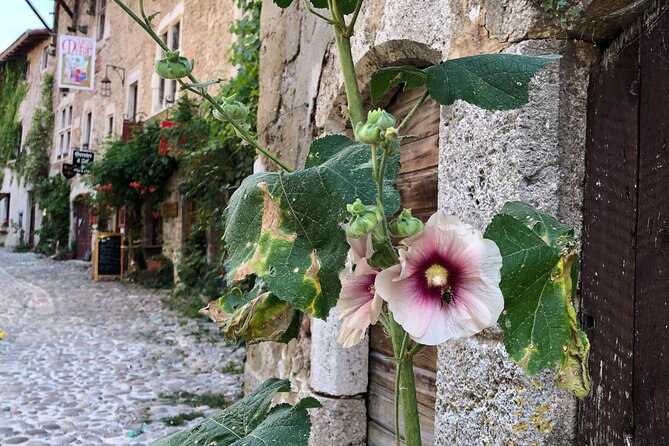 Private Tour to Royal Monastery of Brou and Pérouges - Why This Tour Offers Value