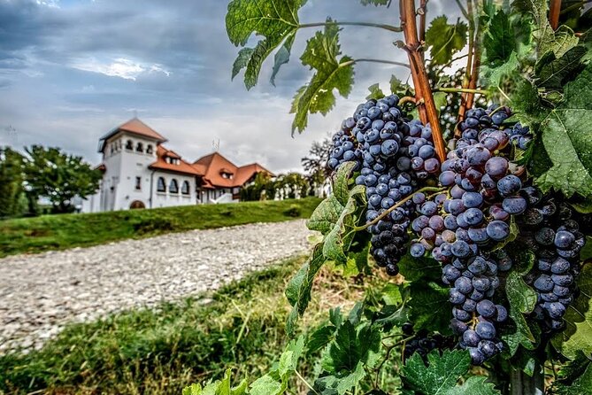 Private Tour to Salt Mine, Lunch at Winery and Dracula Grave - Indulging in Romanian Cuisine and Wine