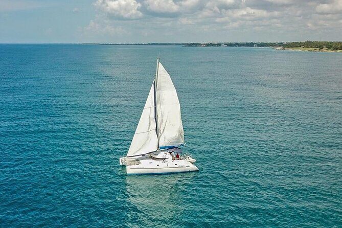 Private Tour to Saône Island - Who Will Love This Tour?