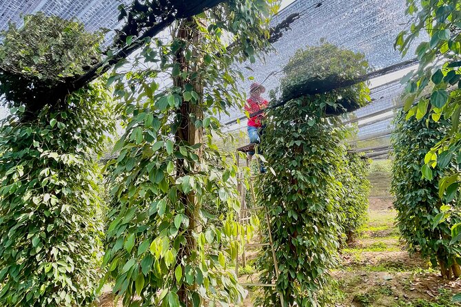 Private Tour To see Kampot , Kep and Bokor Mountain - FAQ