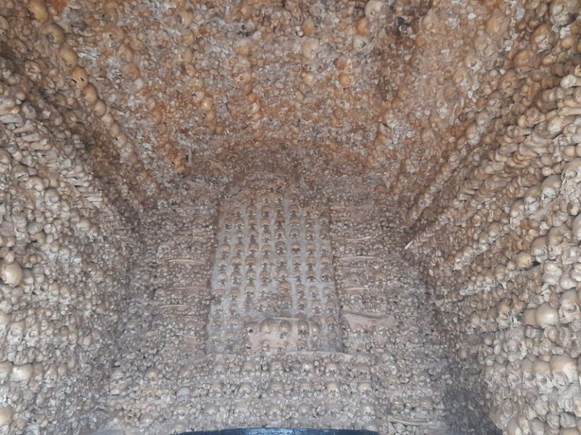 Private Tour to Silves Castle Whith Algarvian Wine Tasting - Key Points