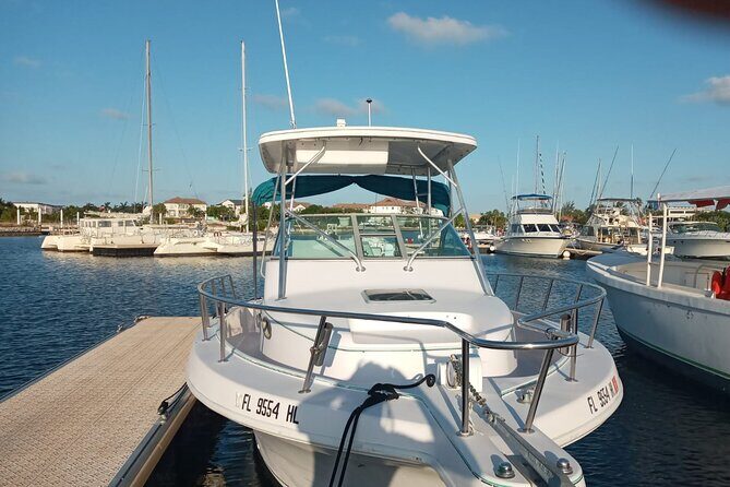 Private Tour to Stingray City & Snorkeling at Coral Gardens - Key Points