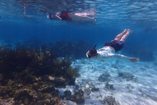 Private Tour to Stingray City & Snorkeling at Coral Gardens - Who Should Consider This Tour?