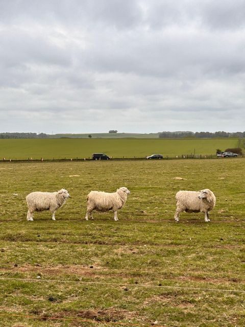 Private Tour to Stonehenge, Bath and The Cotswolds - Final Thoughts