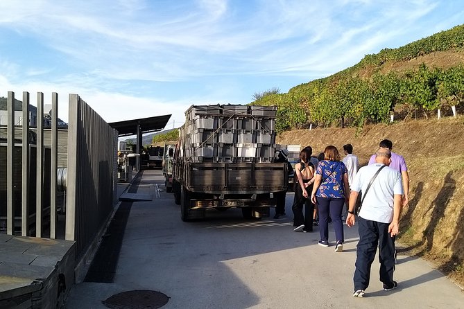 Private Tour to Stunning Douro Valley and Most Renowned Wineries - Reviews and Customer Feedback