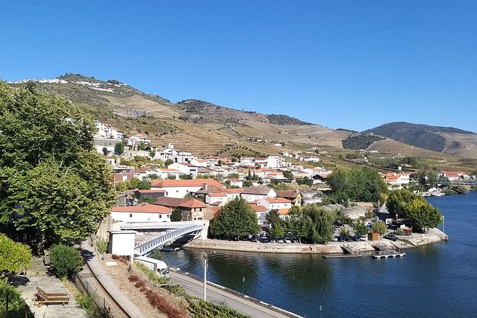 Private Tour to Stunning Douro Valley and Most Renowned Wineries - Exploring the UNESCO-listed Douro Valley