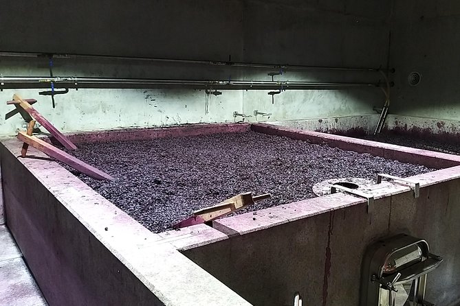 Private Tour to Stunning Douro Valley and Most Renowned Wineries - Transportation and Amenities