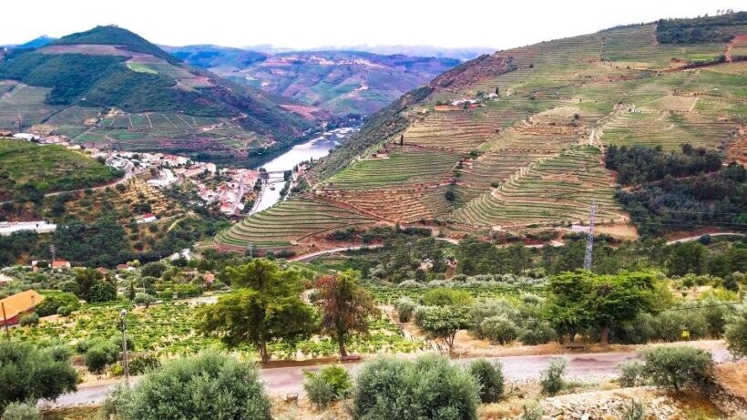 Private Tour to stunning Douro Valley and renowned wineries - Analyzing the Value