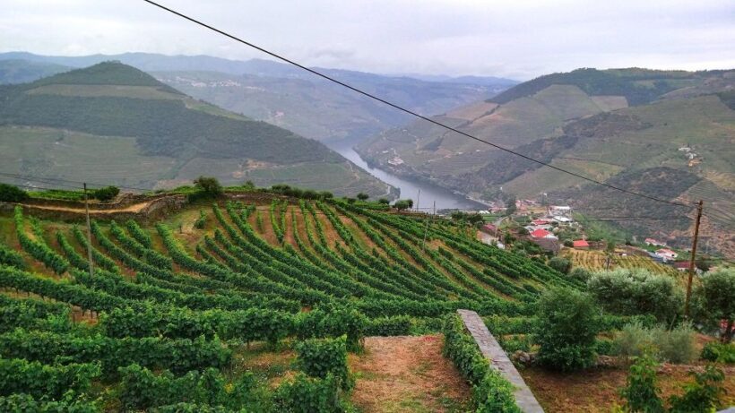 Private Tour to stunning Douro Valley and renowned wineries - Practical Tips for Travelers