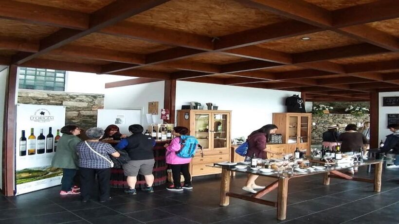 Private Tour to stunning Douro Valley and renowned wineries - Who Will Enjoy This Tour?