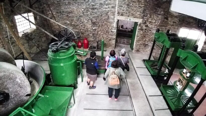 Private Tour to stunning Douro Valley and renowned wineries - The Sum Up
