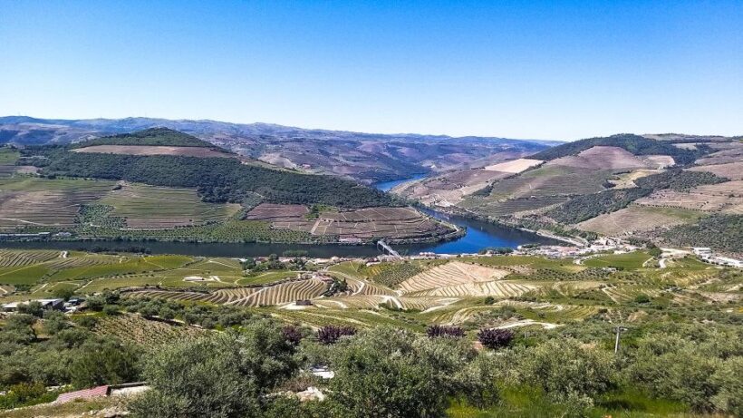 Private Tour to stunning Douro Valley and renowned wineries - FAQ