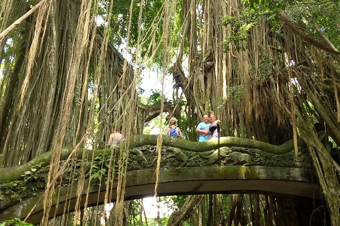 Private Tour to Sumampan Waterfall, Monkey forest, Rice terraces and Swing - Who Would Love This Tour