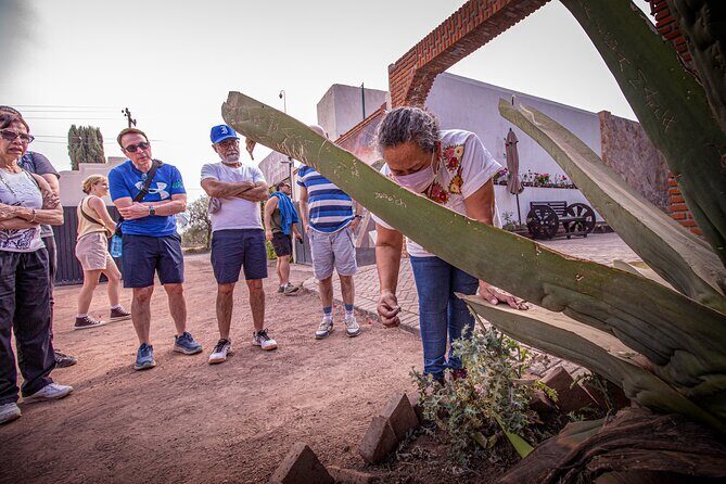 Private Tour to Teotihuacán and the Basilica of Guadalupe - Authentic Experiences and Genuine Value
