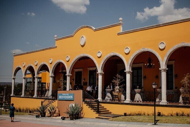 Private Tour to Tequila Ocho Distillery and the Town of Arandas - The Tequilera Los Alambiques: Craftsmanship Comes Alive