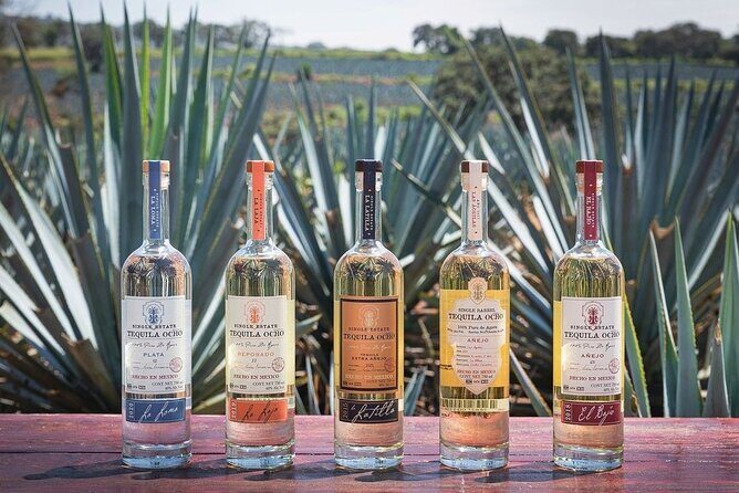 Private Tour to Tequila Ocho Distillery and the Town of Arandas - Practical Details and What to Expect