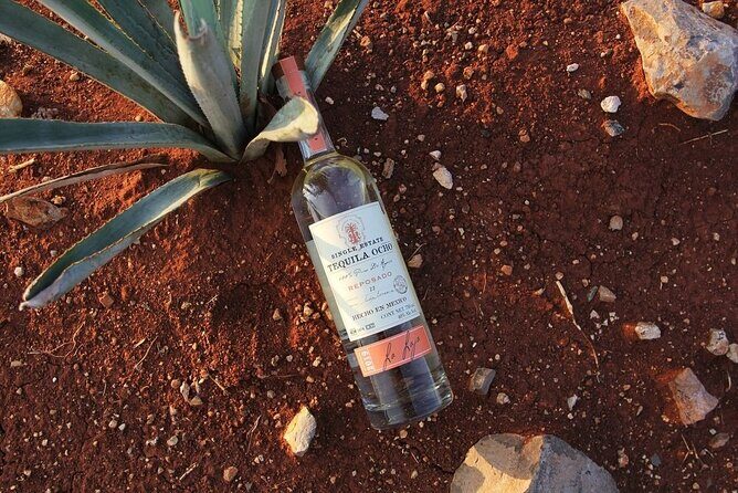 Private Tour to Tequila Ocho Distillery and the Town of Arandas - Authenticity, Value, and Who Will Love This Tour