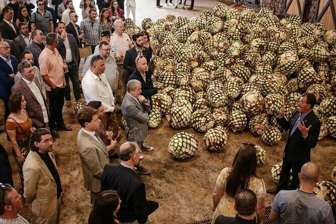 Private Tour to Tequila Ocho Distillery and the Town of Arandas - Frequently Asked Questions