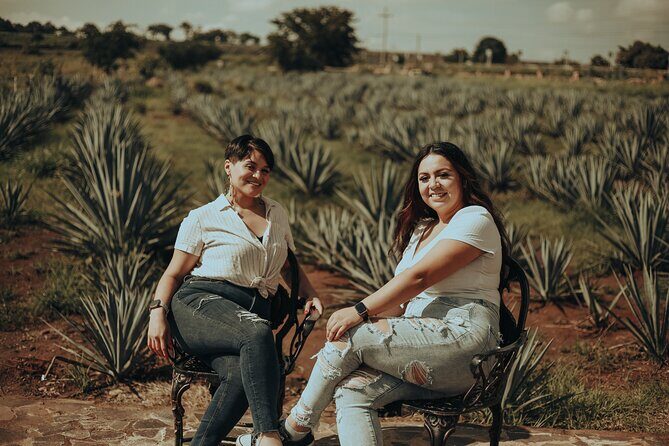 Private Tour to Tequila with tasting, liquors and visits. - Why This Tour Is a Great Choice