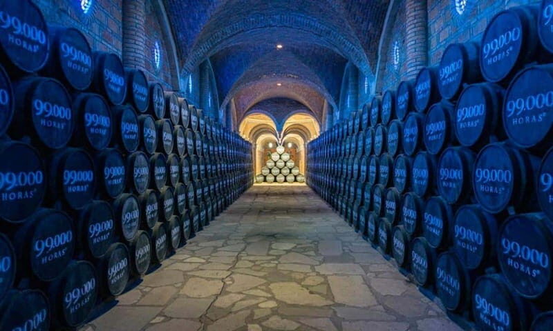 Private Tour to Tequilera Corralejo and Piramides Zone - A Deep Dive into the Experience