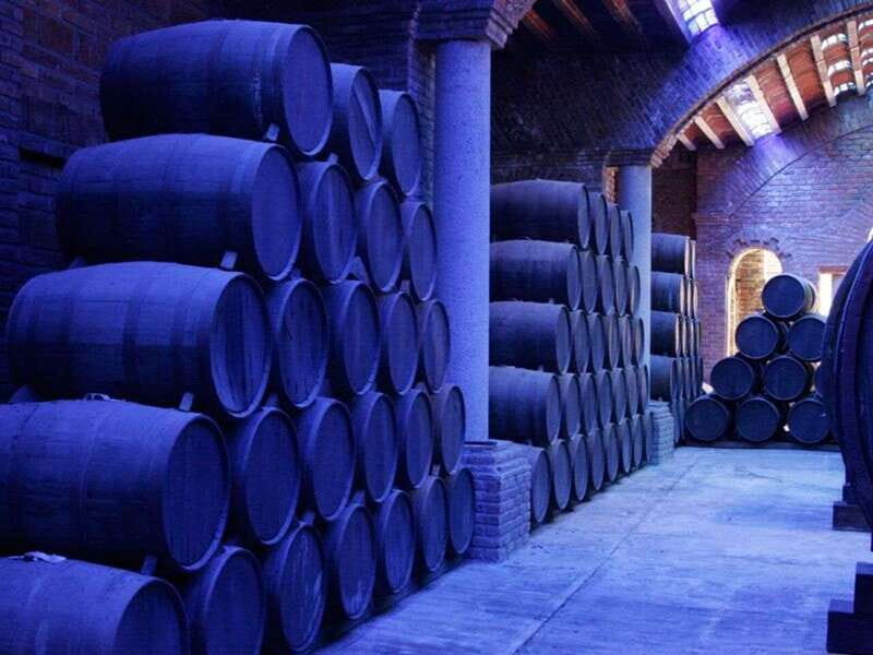Private Tour to Tequilera Corralejo and Piramides Zone - FAQs