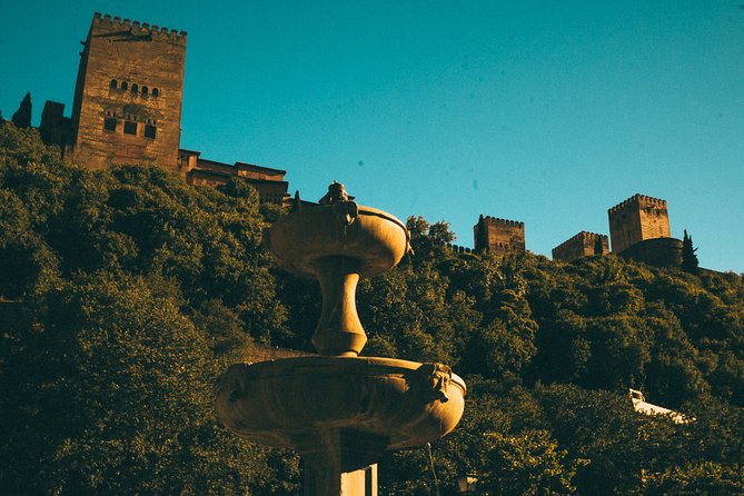 Private Tour to the Alhambra With Nasrid Palaces in Granada - Accessibility and Visitor Information