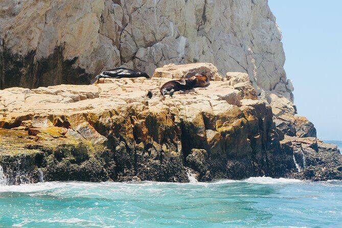 Private Tour to the Arch of Cabo San Lucas by Glass Bottom Boat - FAQs