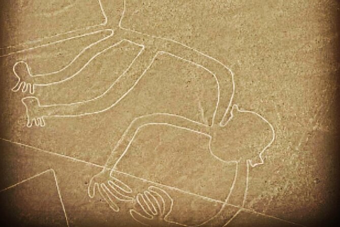 Private Tour to the Astonished Nazca Lines and Huacachina Oasis - Seamless Transportation and Convenient Pickup