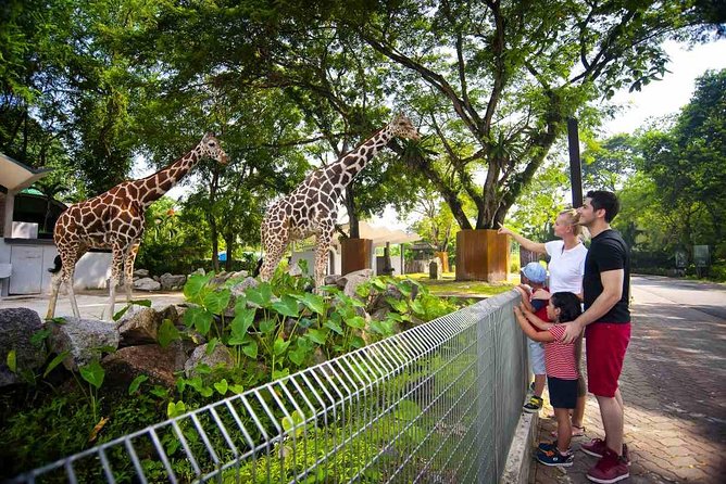 Private Tour to The Best of Animal Attractions in Kuala Lumpur - Authentic Experiences and Value for Money