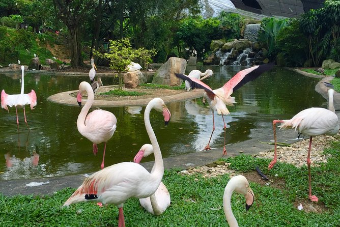 Private Tour to The Best of Animal Attractions in Kuala Lumpur - Who Should Consider This Tour?