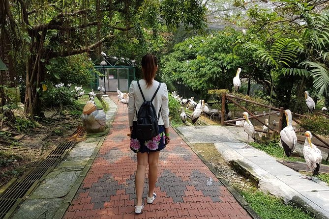 Private Tour to The Best of Animal Attractions in Kuala Lumpur - Final Thoughts