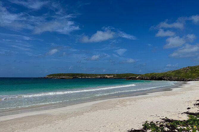 Private Tour to the East Side of Puerto Rico - Analyzing the Value