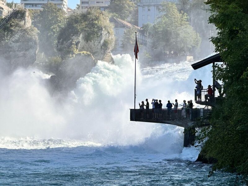 Private Tour to the Rhine Falls With Pick-Up at the Hotel - Since You Asked