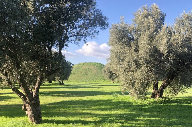 Private Tour to the tomb of Marathon (the origin of Marathon races) - Who Should Consider This Tour?