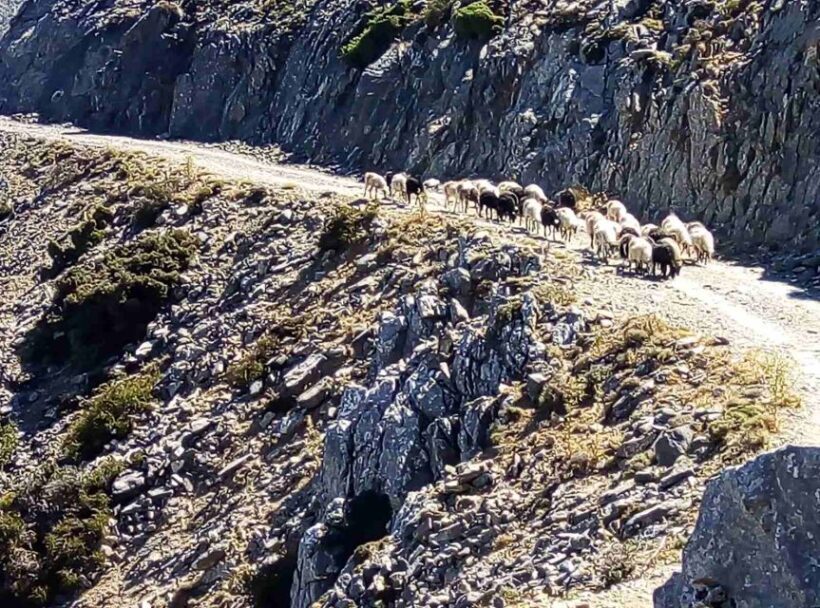 Private Tour to The White Mountains & Samaria from Above - Final Thoughts
