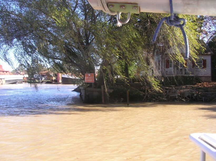 Private Tour to Tigre and the Delta - Exploring the Tigre and Delta Tour: What You Can Expect