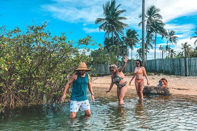 Private Tour to Trancoso - Highlights of the Tour