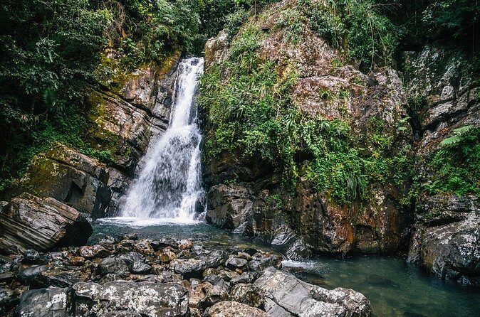 Private Tour to Waterfall in Puerto Rico - Returning to Carolina: A Restful Finish