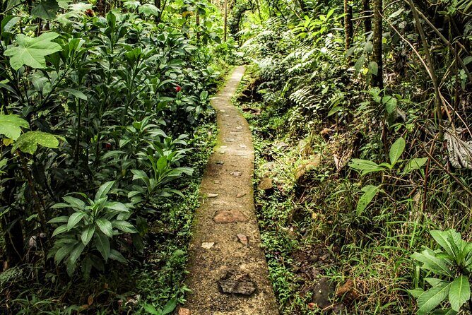 Private Tour to Waterfall in Puerto Rico - The Value of the Experience