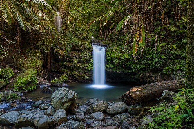 Private Tour to Waterfall in Puerto Rico - Why This Tour Works Well