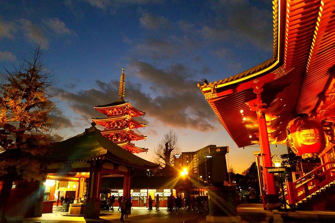 Private Tour Tokyo - the Harmony of Modernity and Tradition - Exploring the Vibrant Neighborhoods