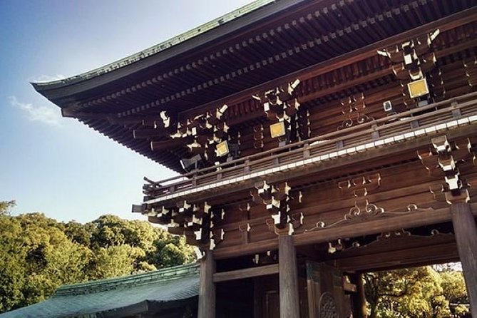 Private Tour Tokyo - the Harmony of Modernity and Tradition - Embracing the Citys Accessibility and Inclusivity