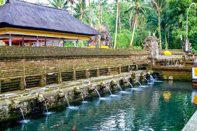Private Tour Top Sights of Bali in One Day - Kintamani Highland: Volcano Views and Lakes