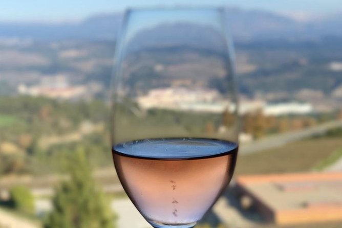 Private Tour: Top Three Organic Wineries & Local Lunch Included - Final Thoughts