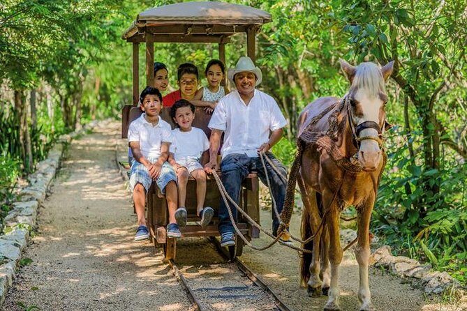 Private Tour: Tulum and Cave Adventure from Cancun - Customization and Flexibility