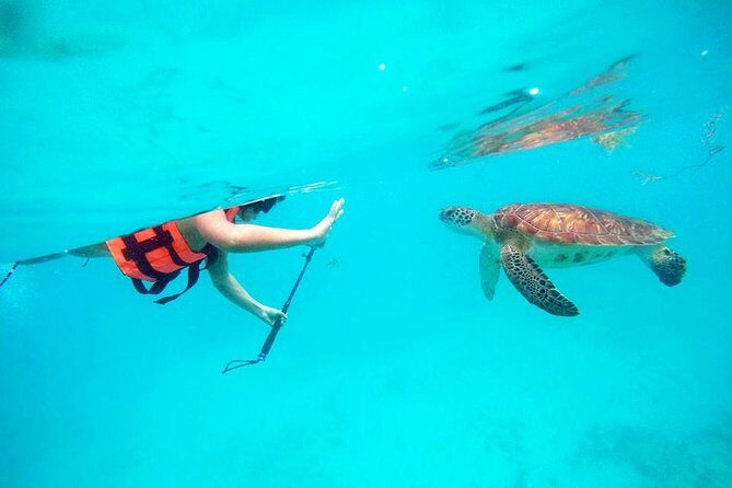 Private Tour Tulum, Reef & Cenote-Cavern from Playa del Carmen - An In-Depth Look at the Tour Itinerary