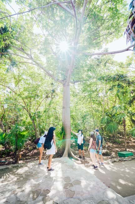 Private Tour: Tulum Ruins, Natural Waterways Float & Tacos - The Itinerary in Detail