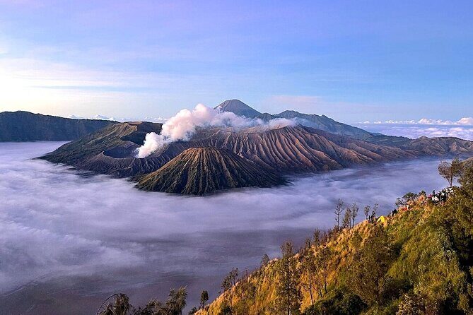 Private Tour Tumpaksewu - Bromo - Ijen 4D3N From Surabaya - The Sum Up